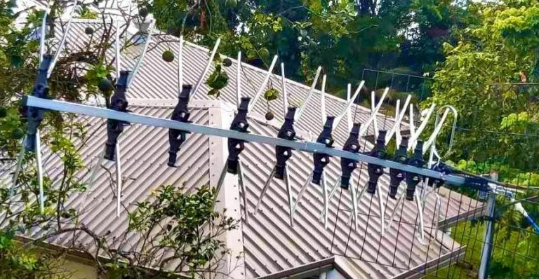 Walesi TV App Is Here – Walesi